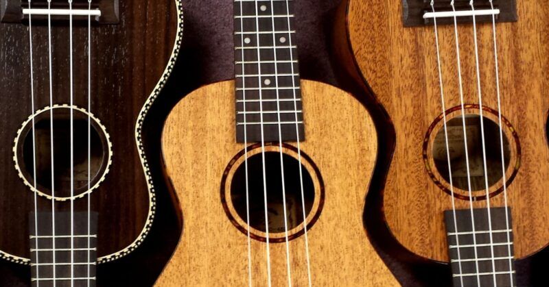 The Top 5 Best Ukulele Strings Of 2024 - Audio Sorcerer